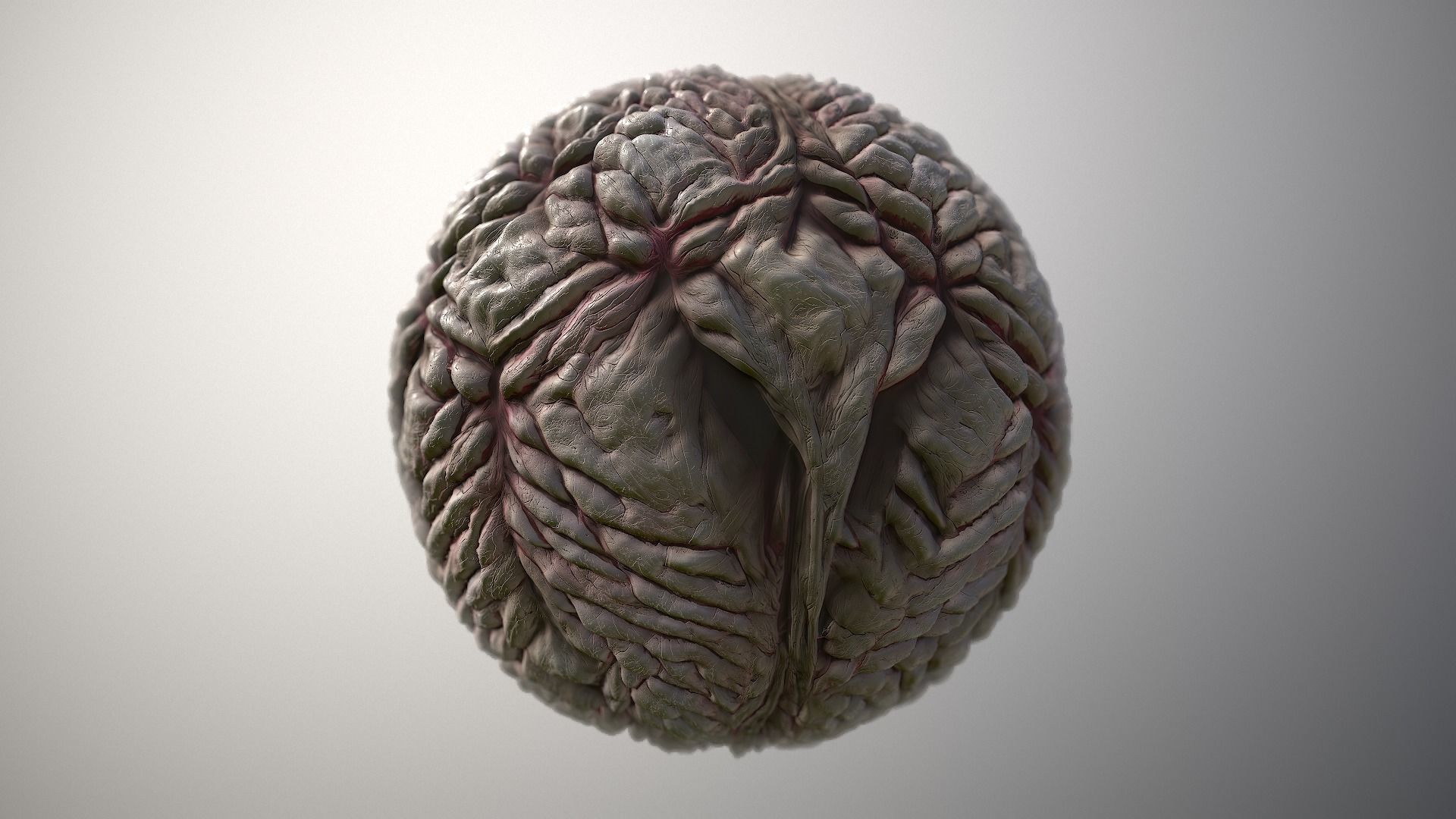 Material Skin Monster 19 Seamless PBR Texture Texture | CGTrader