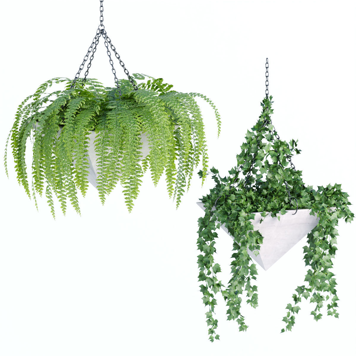 Hanging plants indoor collection 3D Models | CGTrader