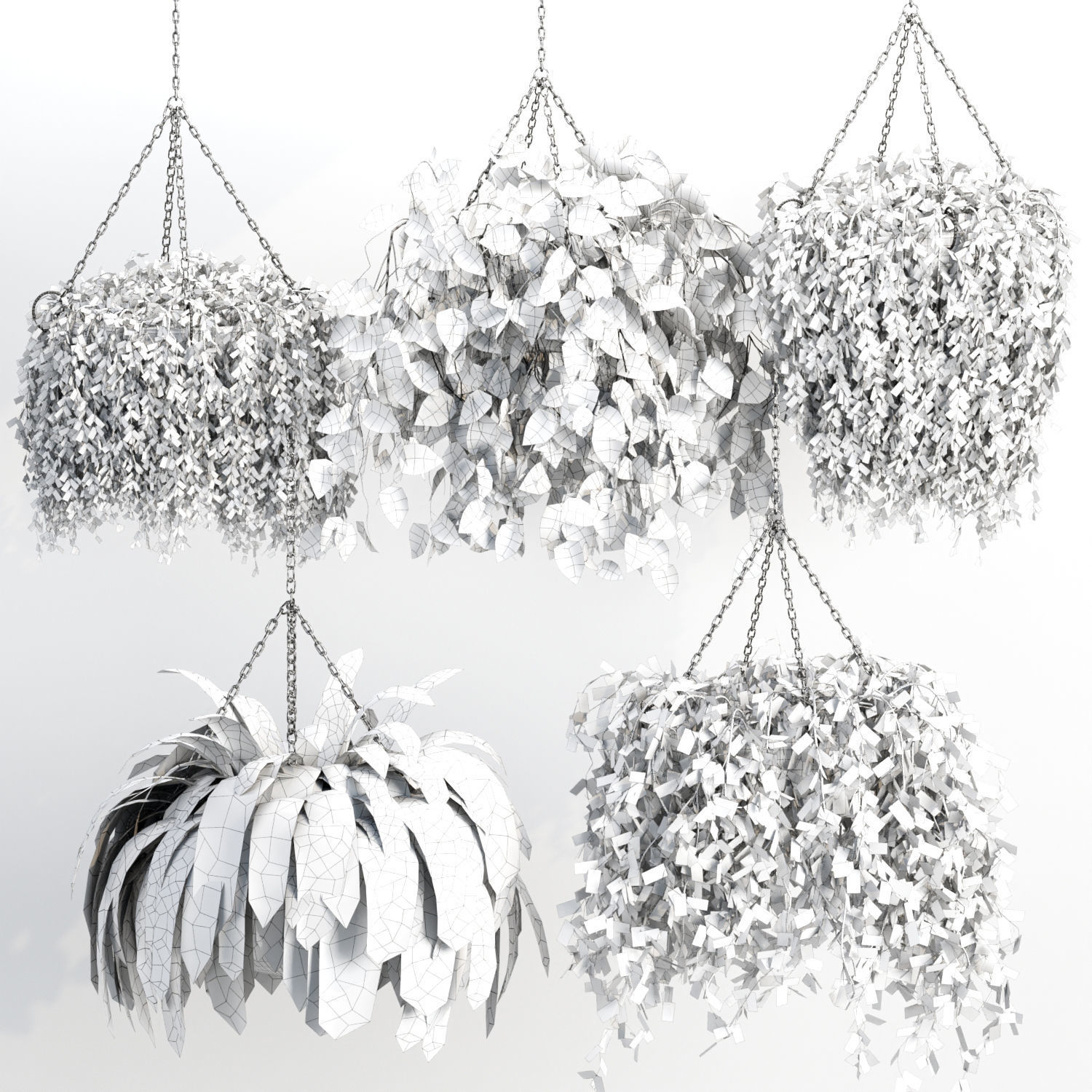 Hanging plants indoor collection 3D Models | CGTrader
