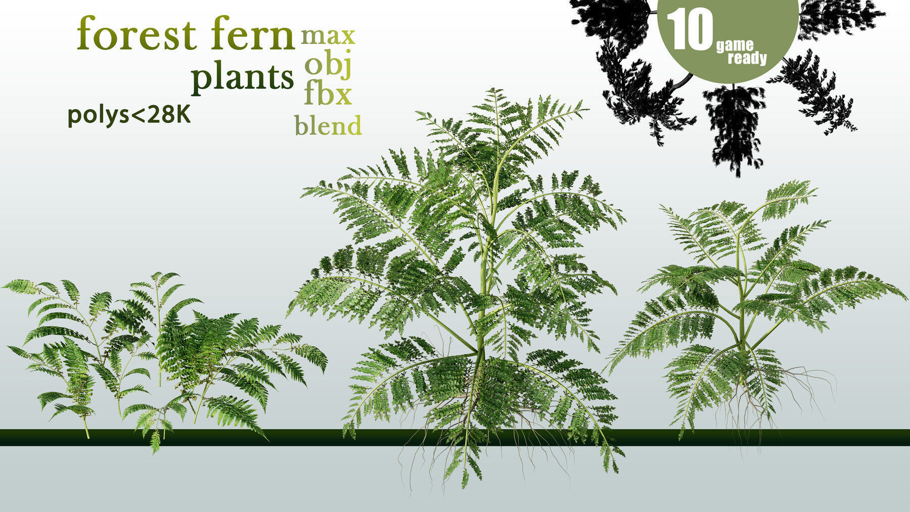 3D model 10 forest fern plants VOL 07 VR / AR / low-poly | CGTrader