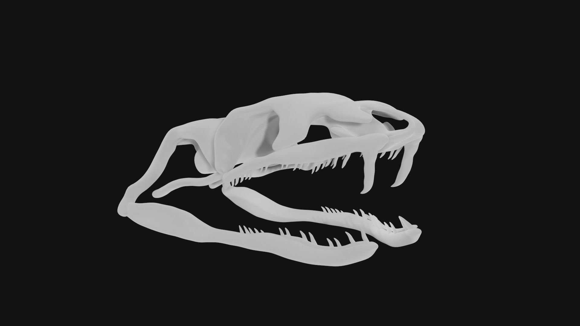 Snake skull 3D model | CGTrader