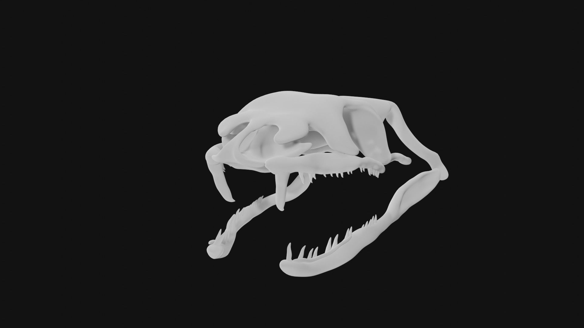 Snake skull 3D model | CGTrader