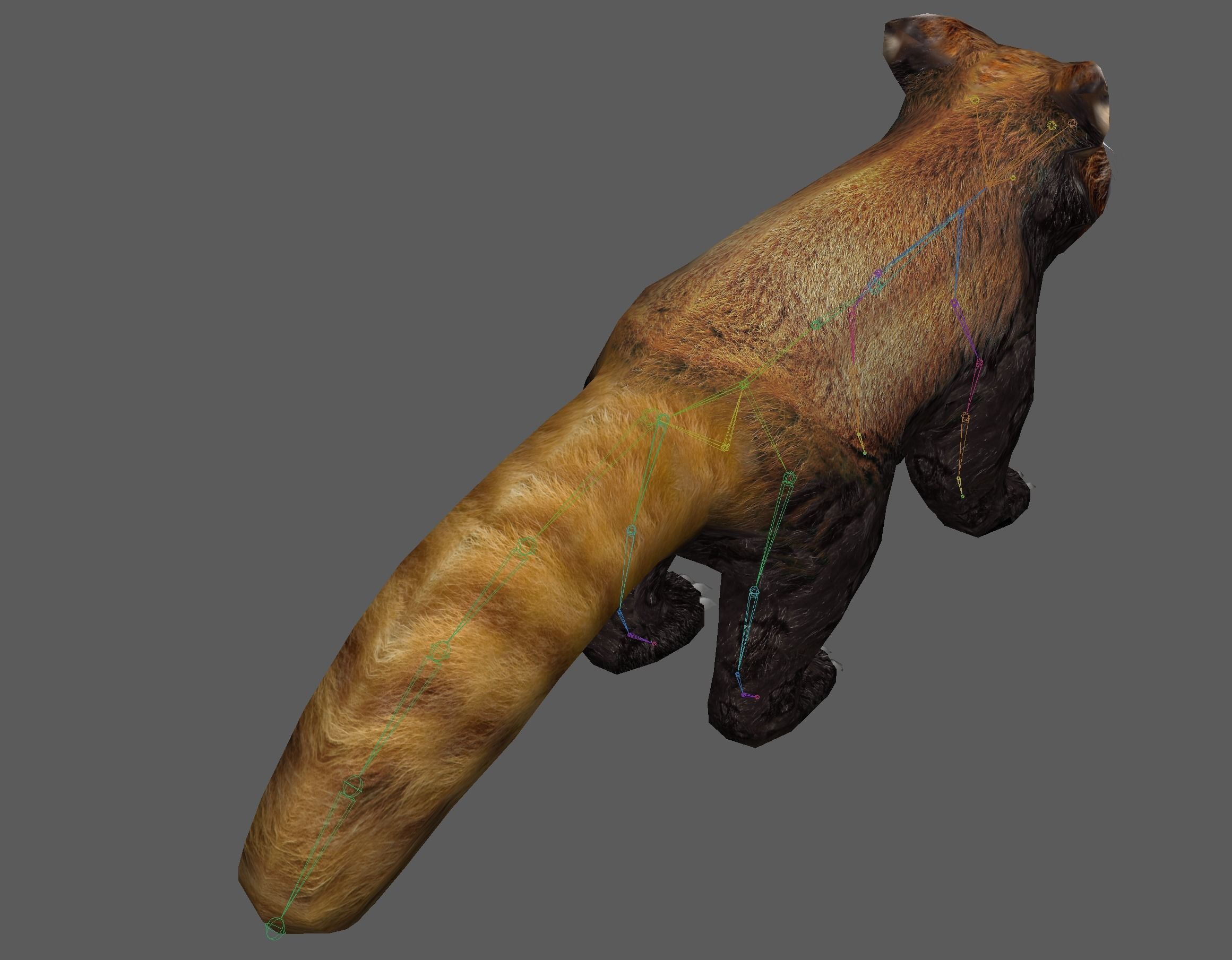 3D model Red Panda VR / AR / low-poly | CGTrader