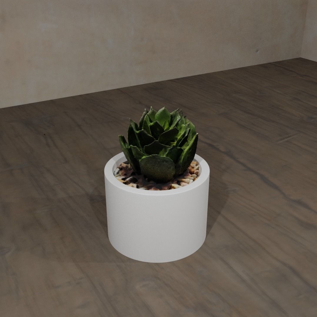 Pot Plant 3D model | CGTrader