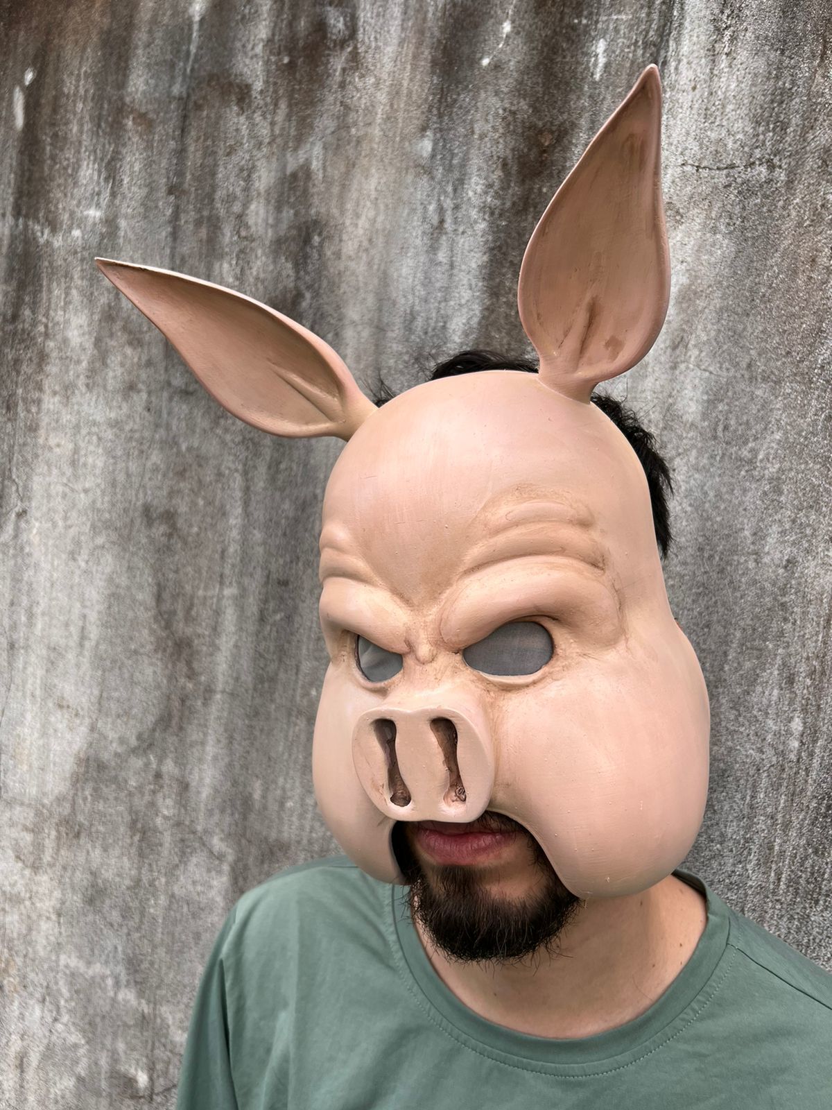 Professor Pyg 3D model 3D printable | CGTrader