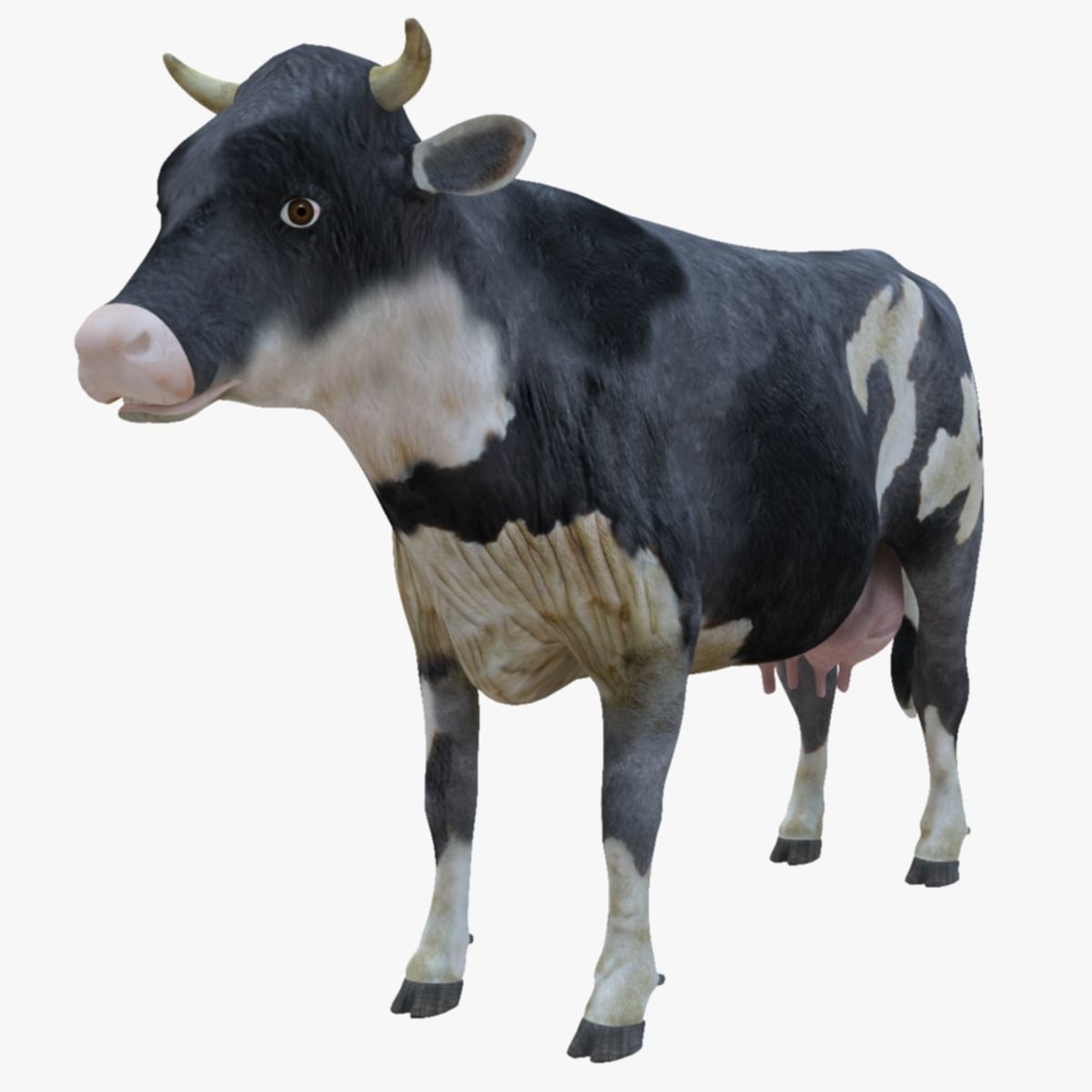 Low Poly Cow Collection - 3 Cow Models - 4K - Unwrapped VR / AR / low ...
