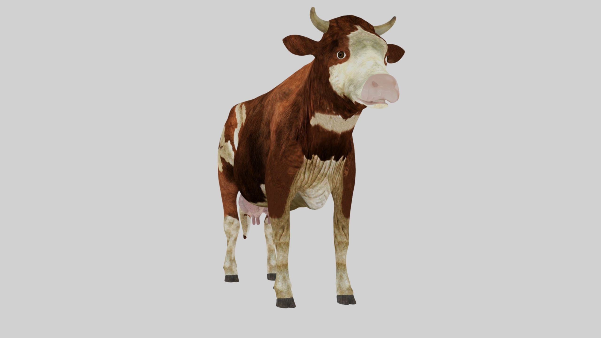 Low Poly Cow Collection - 3 Cow Models - 4K - Unwrapped VR / AR / low ...