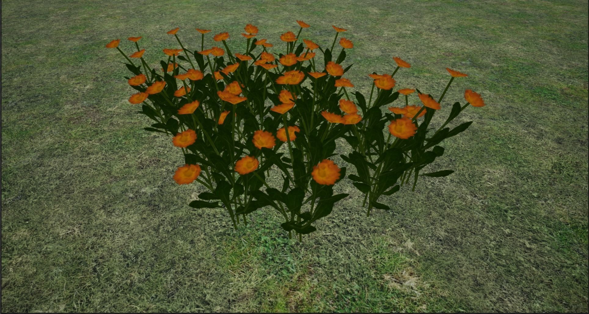 3D model Marigold Orange Flowers VR / AR / low-poly | CGTrader