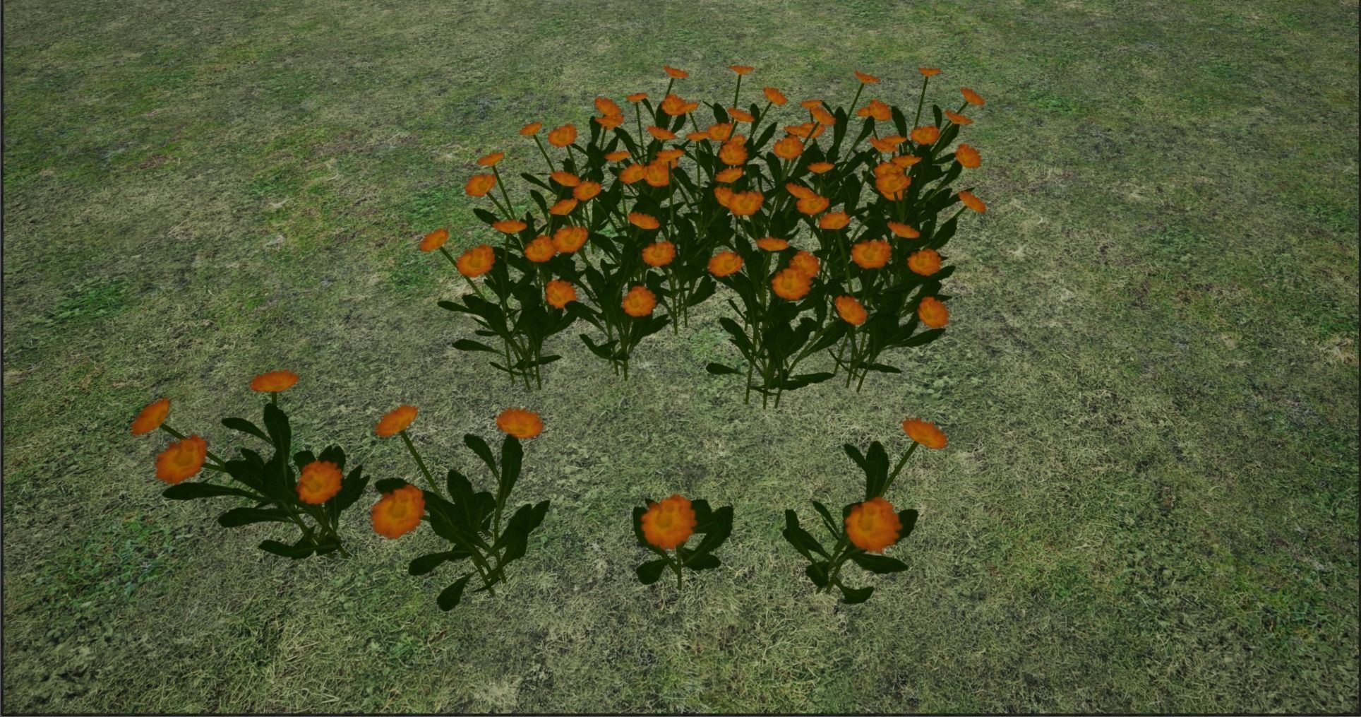3D model Marigold Orange Flowers VR / AR / low-poly | CGTrader