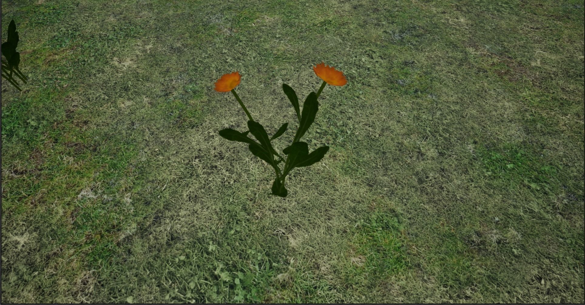 3D model Marigold Orange Flowers VR / AR / low-poly | CGTrader