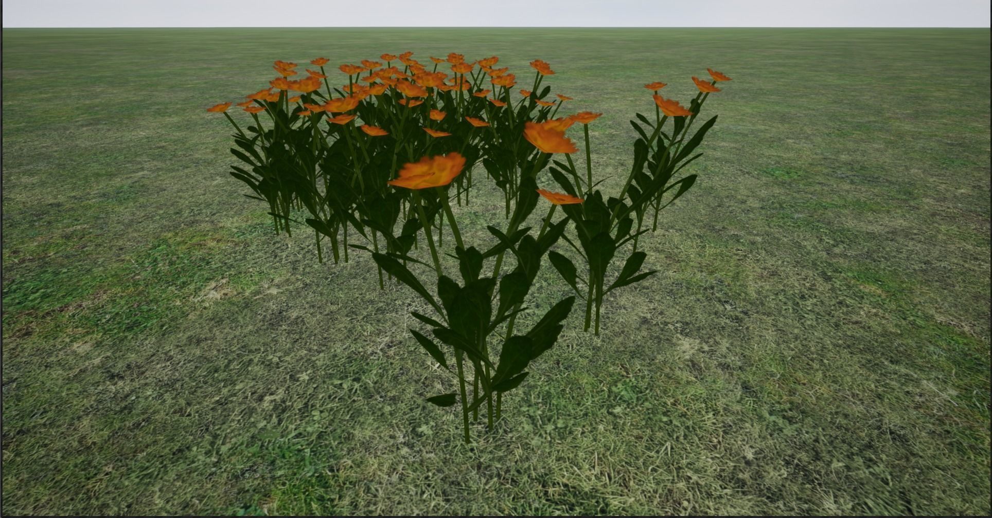 3D model Marigold Orange Flowers VR / AR / low-poly | CGTrader