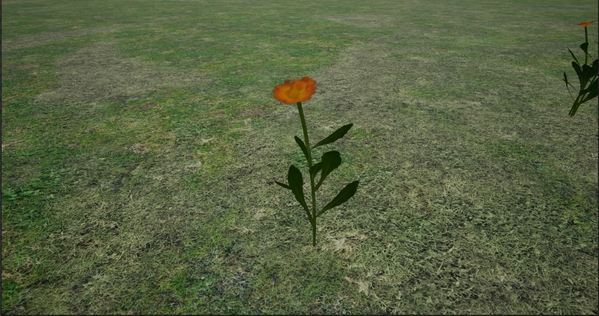 3D model Marigold Orange Flowers VR / AR / low-poly | CGTrader