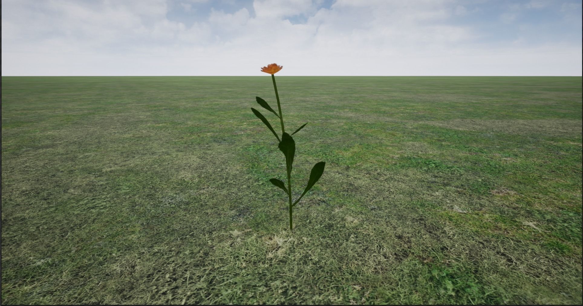 3D model Marigold Orange Flowers VR / AR / low-poly | CGTrader