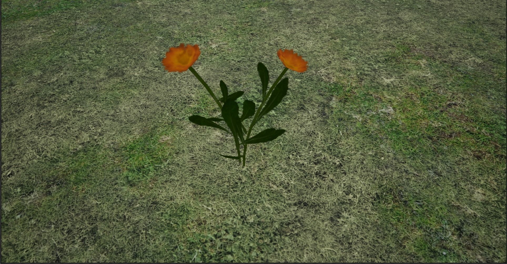 3D model Marigold Orange Flowers VR / AR / low-poly | CGTrader