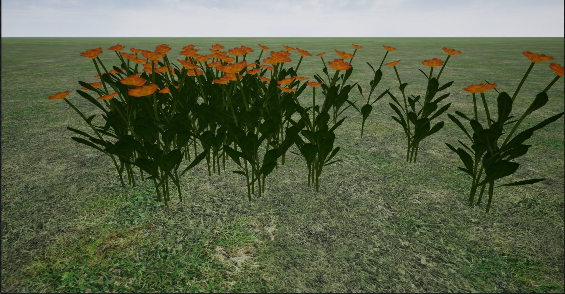3D model Marigold Orange Flowers VR / AR / low-poly | CGTrader
