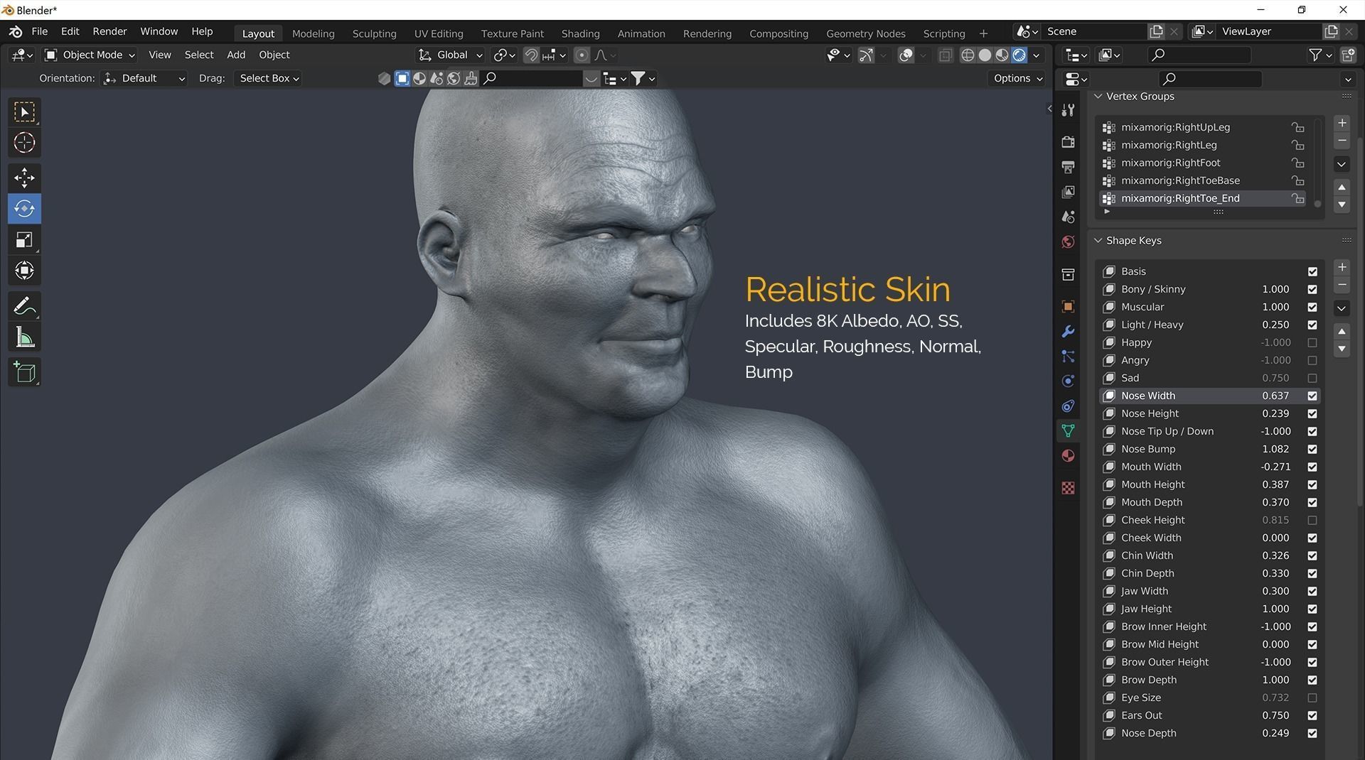 3D model Customizable Rigged Male Base Mesh with Shape Library VR / AR ...