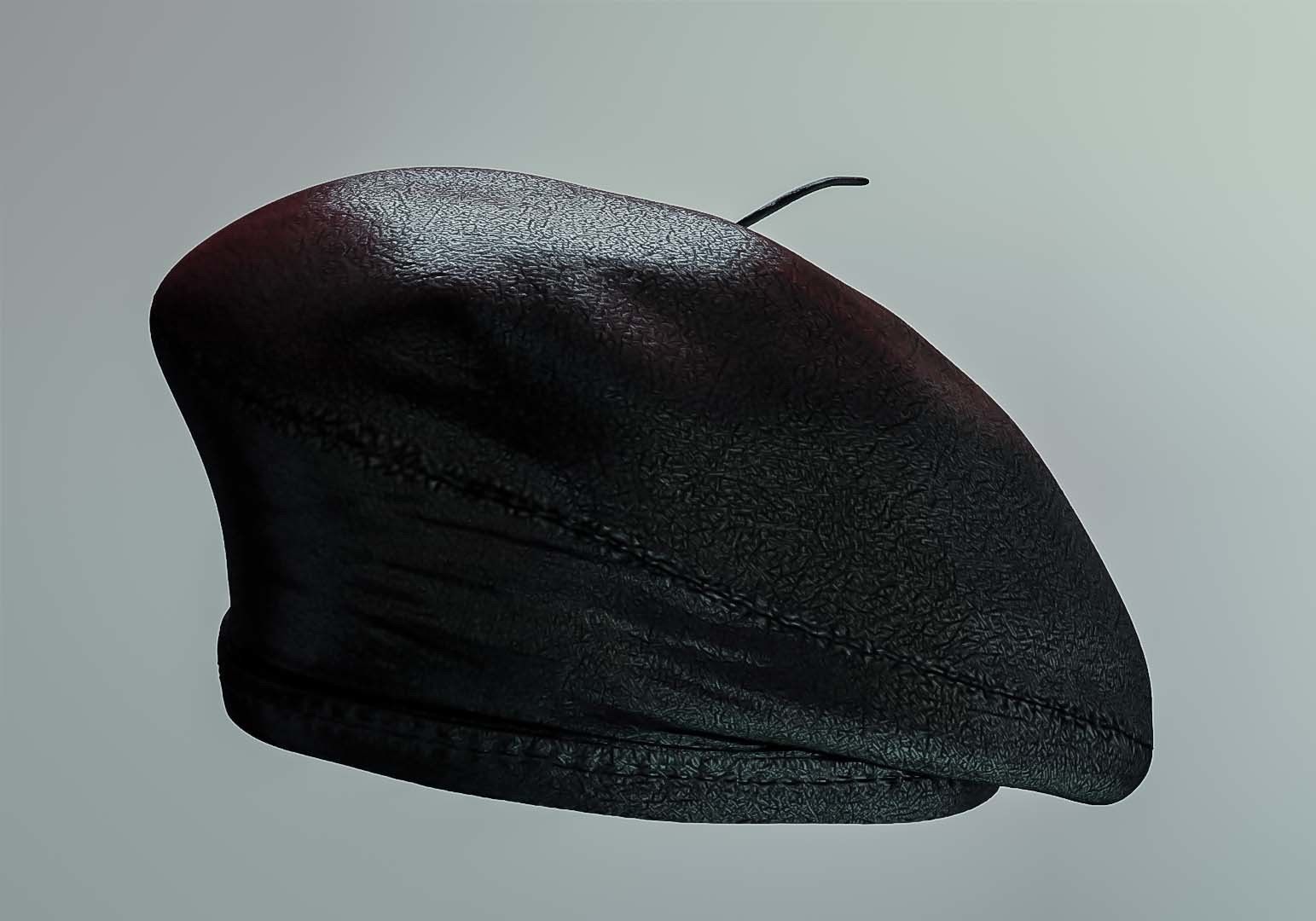 Leather Beret Package 3D model | CGTrader