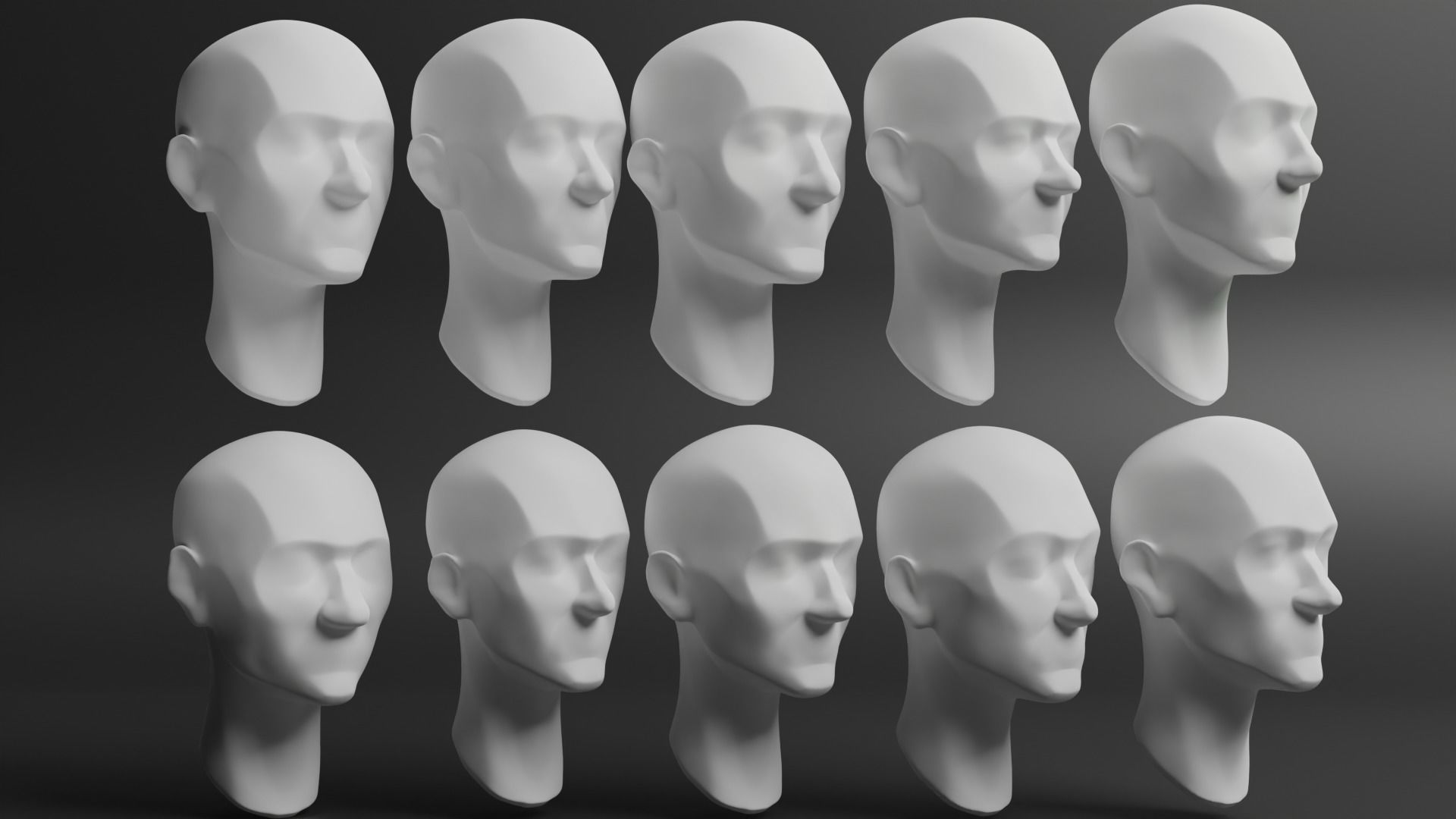 Female Head Ecorche 3D model | CGTrader