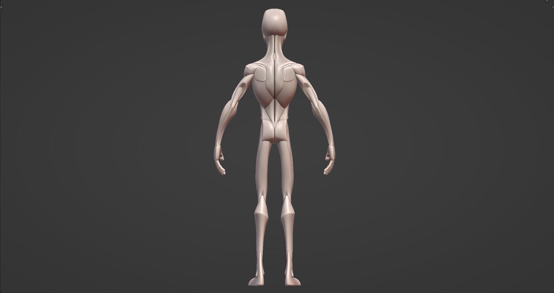 Stylized Thin Man Anatomy Blockout 3D model | CGTrader
