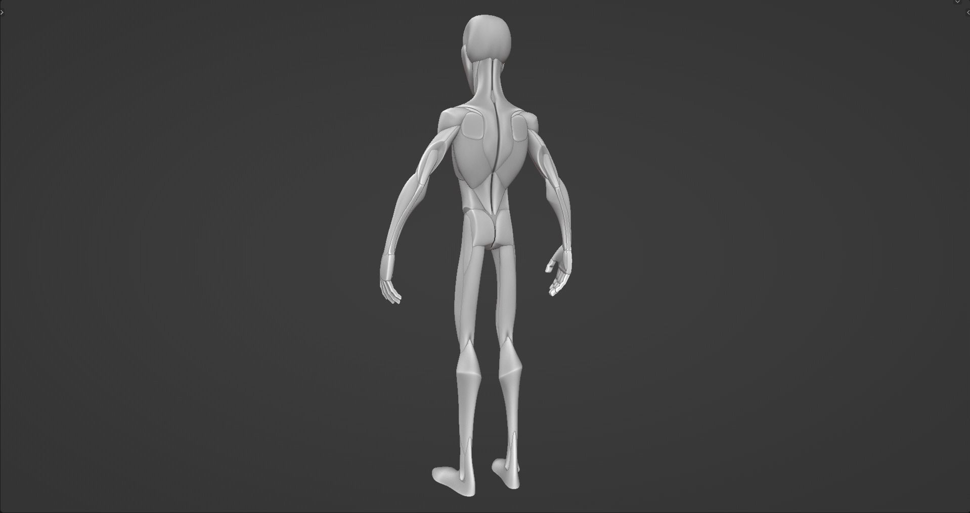 Stylized Thin Man Anatomy Blockout 3D model | CGTrader
