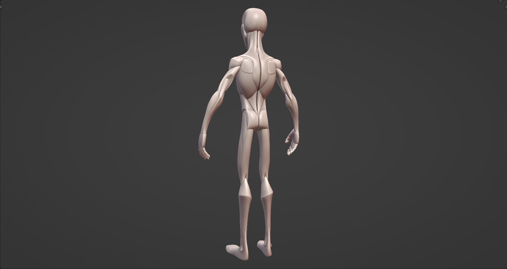 Stylized Thin Man Anatomy Blockout 3D model | CGTrader