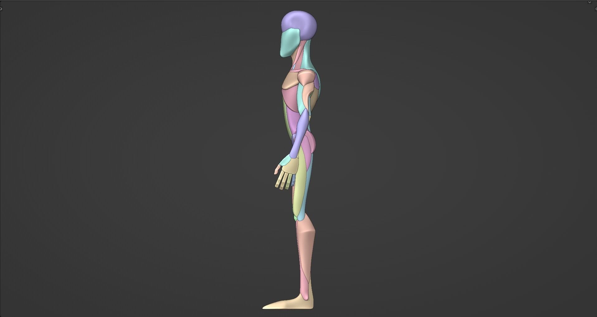 Stylized Thin Man Anatomy Blockout 3D model | CGTrader