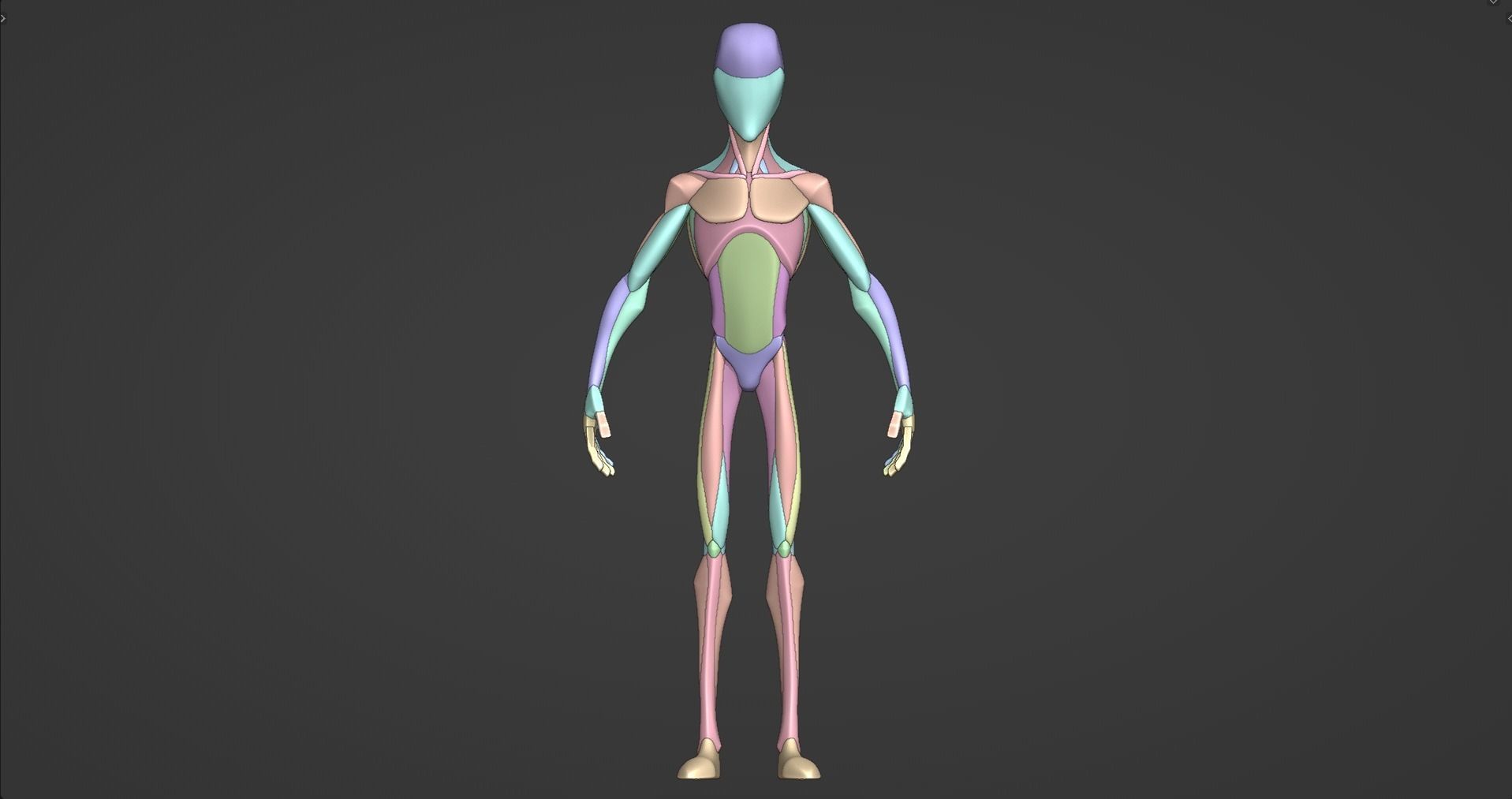 Stylized Thin Man Anatomy Blockout 3D model | CGTrader