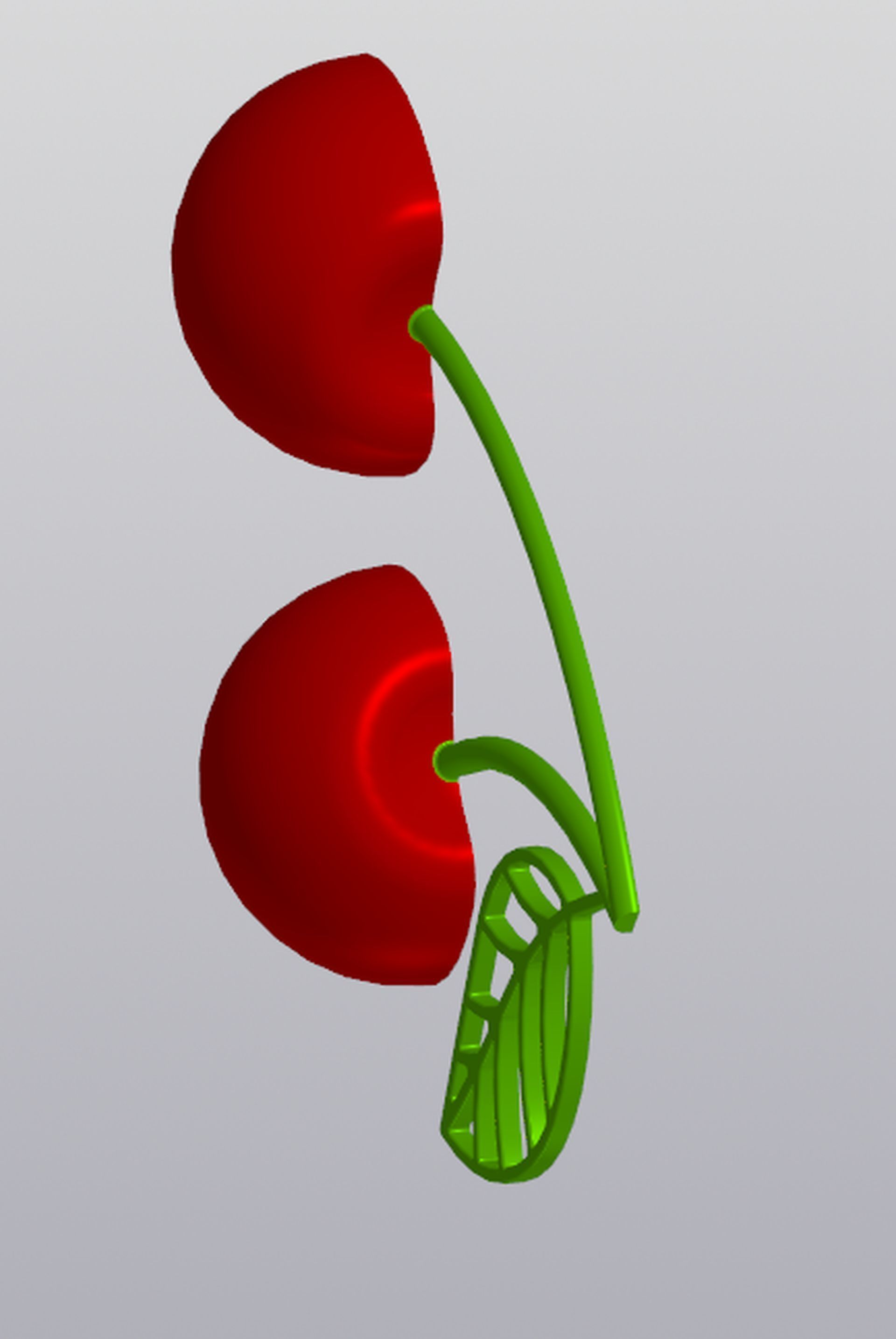 Cherry Wall decor 3D model 3D printable | CGTrader
