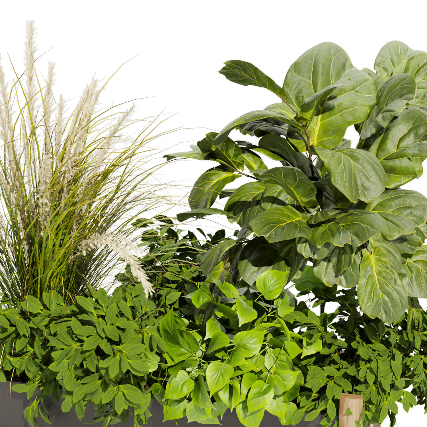 Collection plant vol 420 - indoor - monstera - banana 3D model | CGTrader