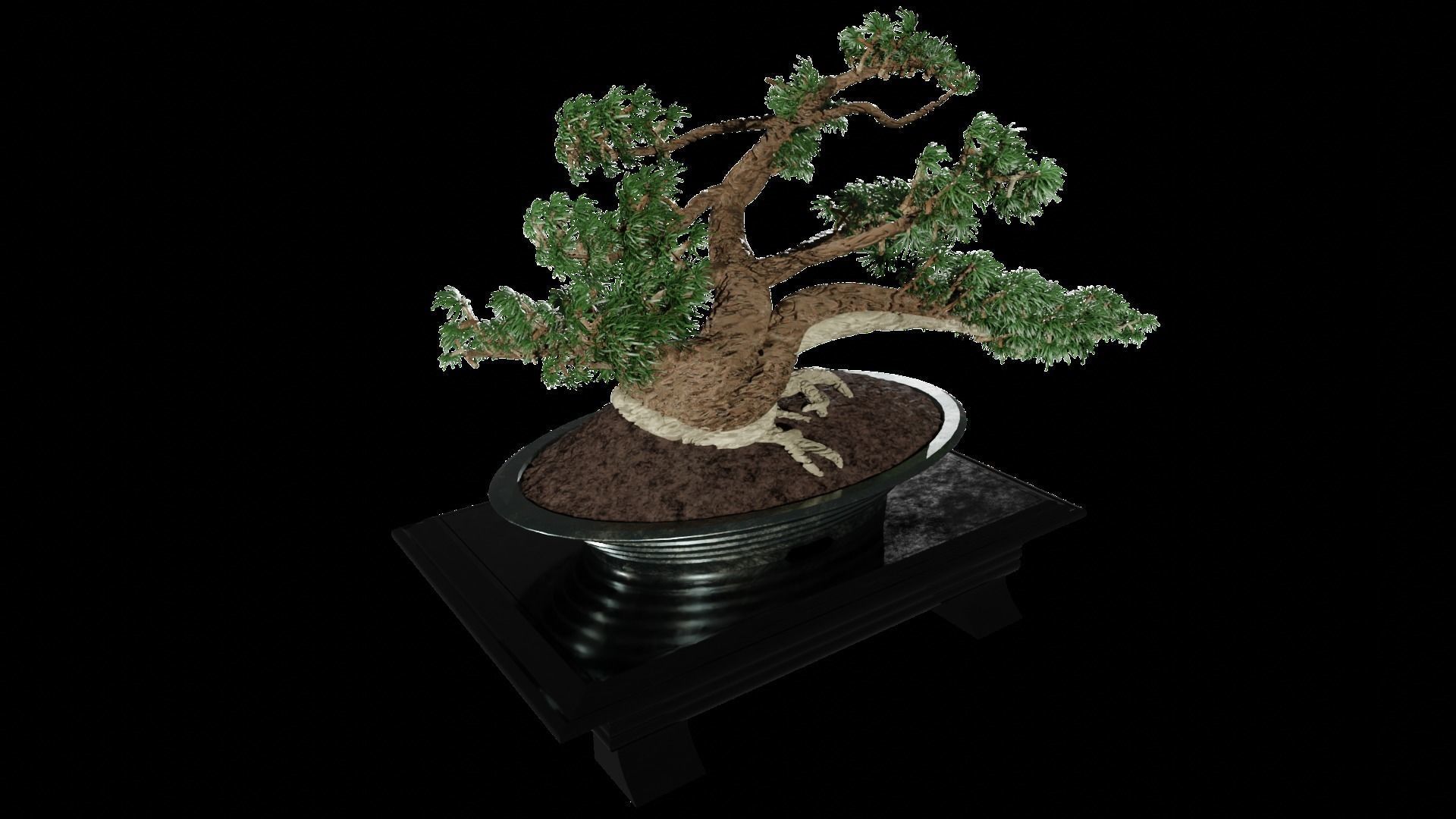 High Detailed Bonsai Tree 3D model | CGTrader