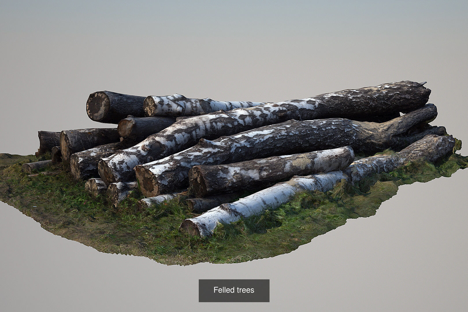 3D Model Collection Forest stuff VR / AR / low-poly | CGTrader