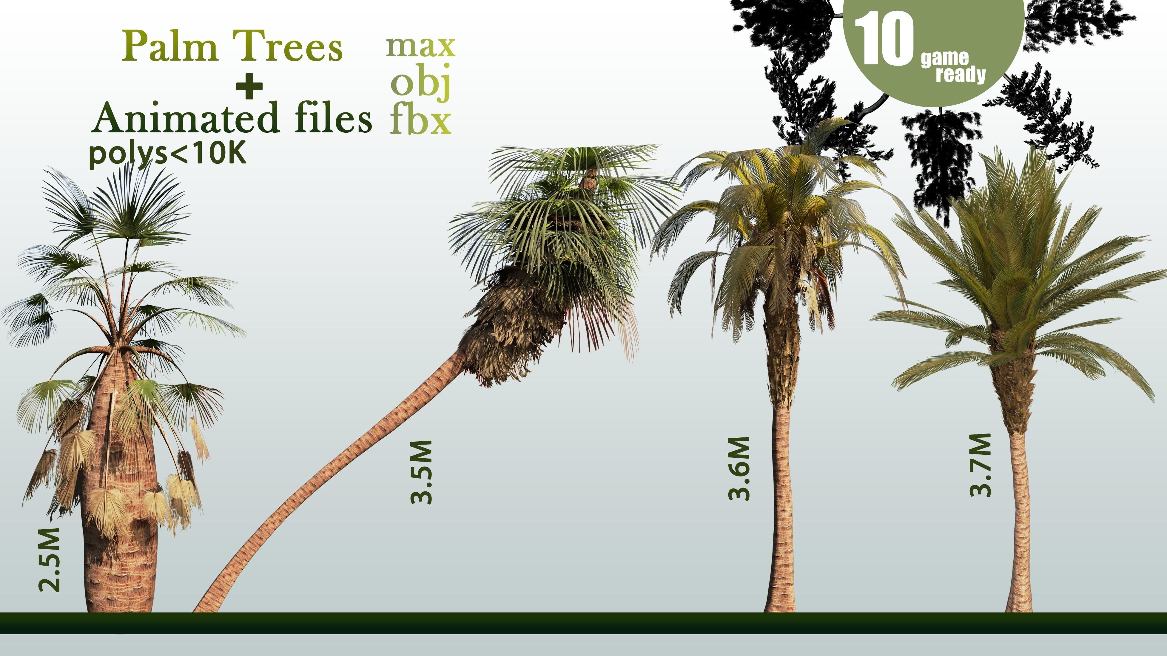 3D model 10 Palm Trees VOL 04 And Animated Files VR / AR / low-poly ...