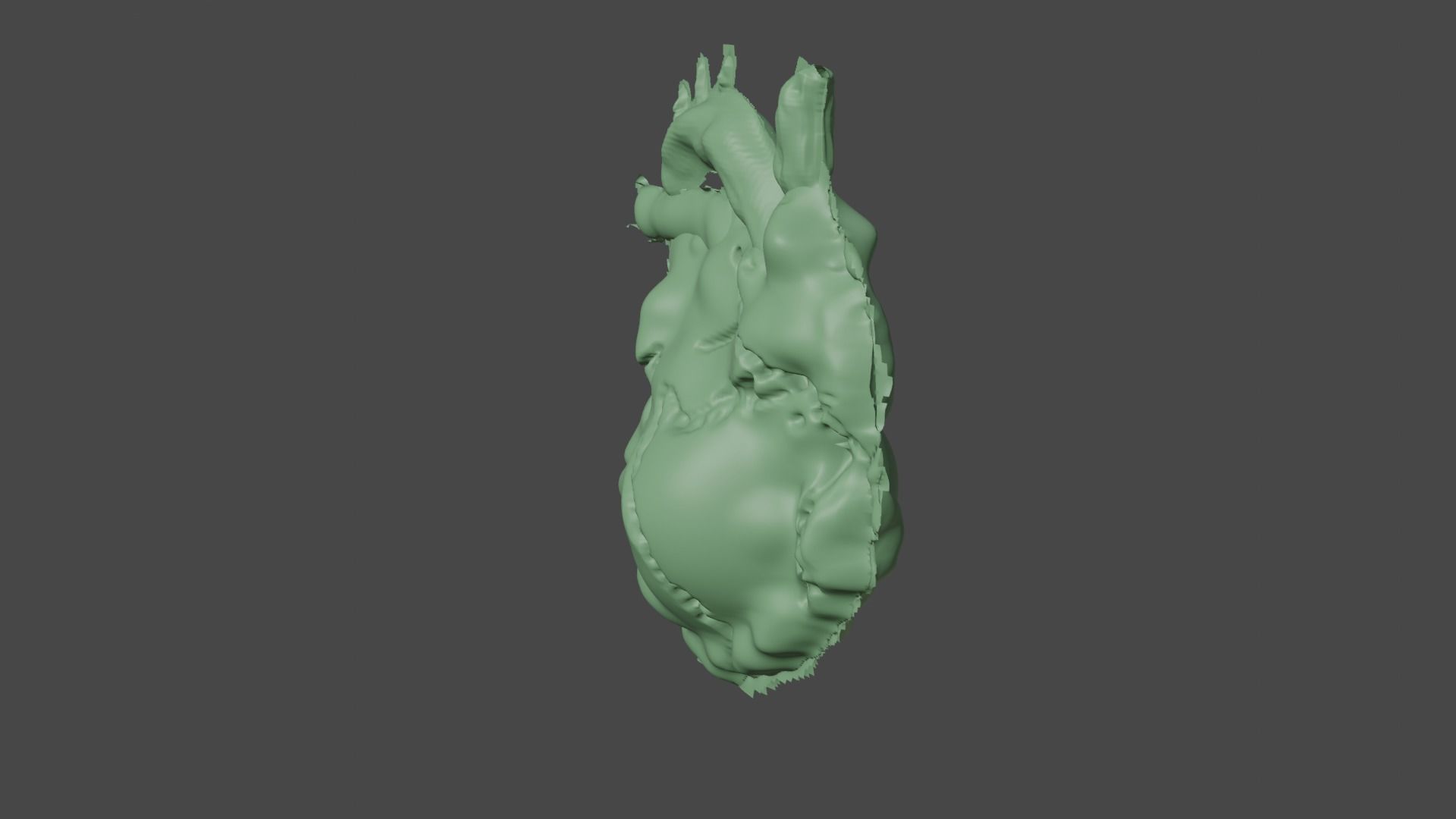 Realistic Human Heart free VR / AR / low-poly 3D model animated rigged ...