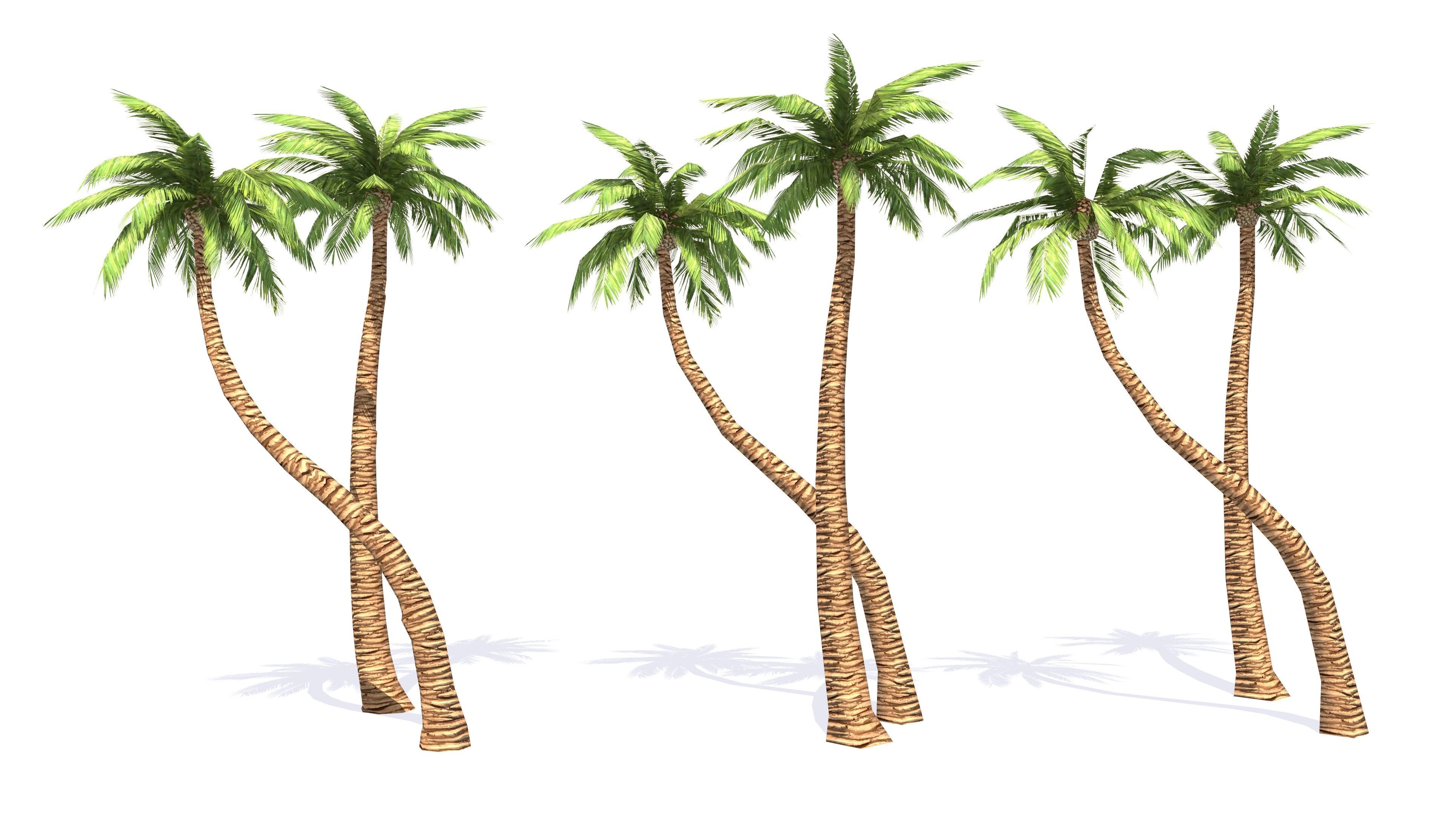 3D model Palm Trees Game Ready VR / AR / low-poly | CGTrader