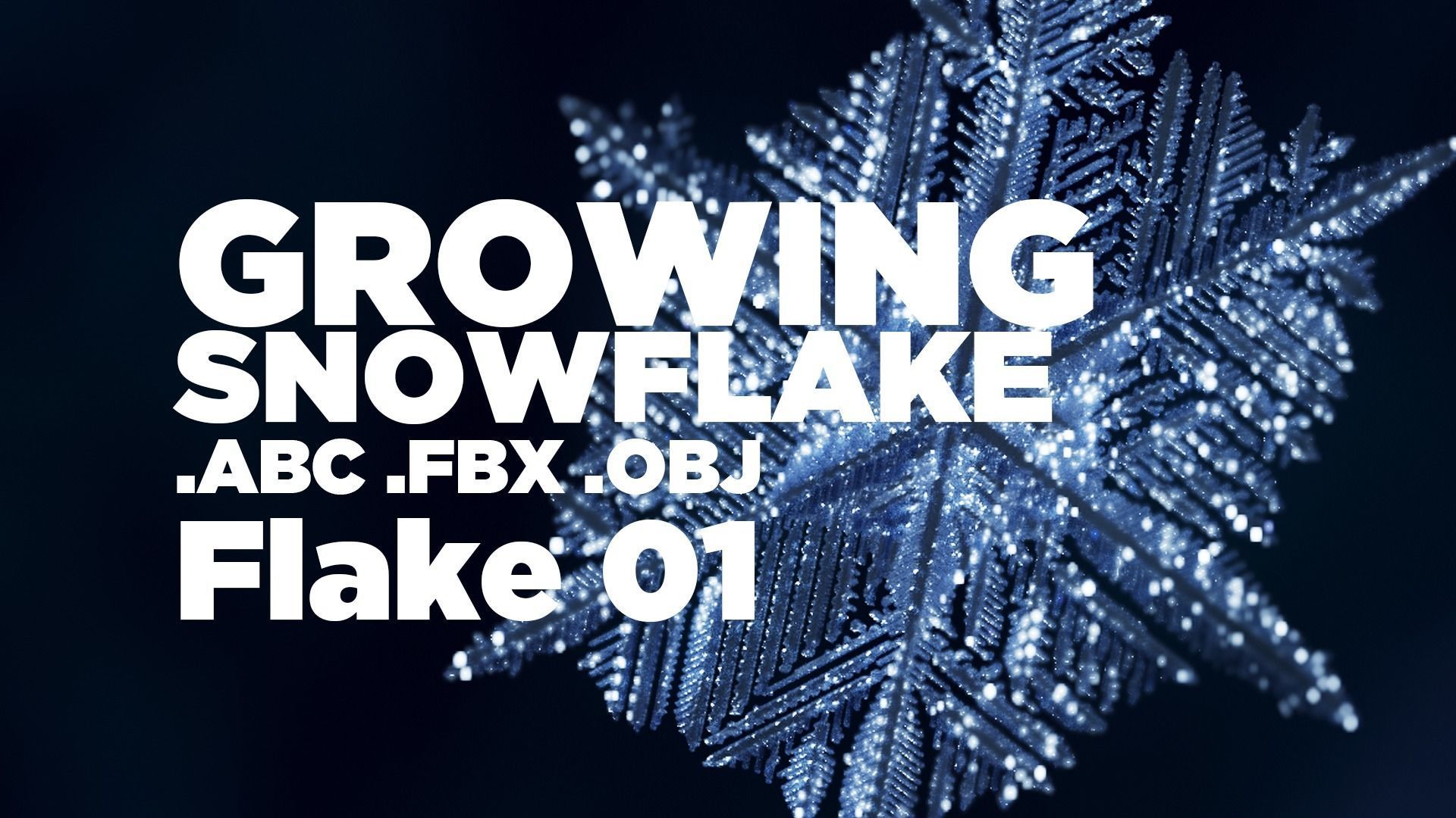 Snowflake growing animation with blender file 3D model animated | CGTrader