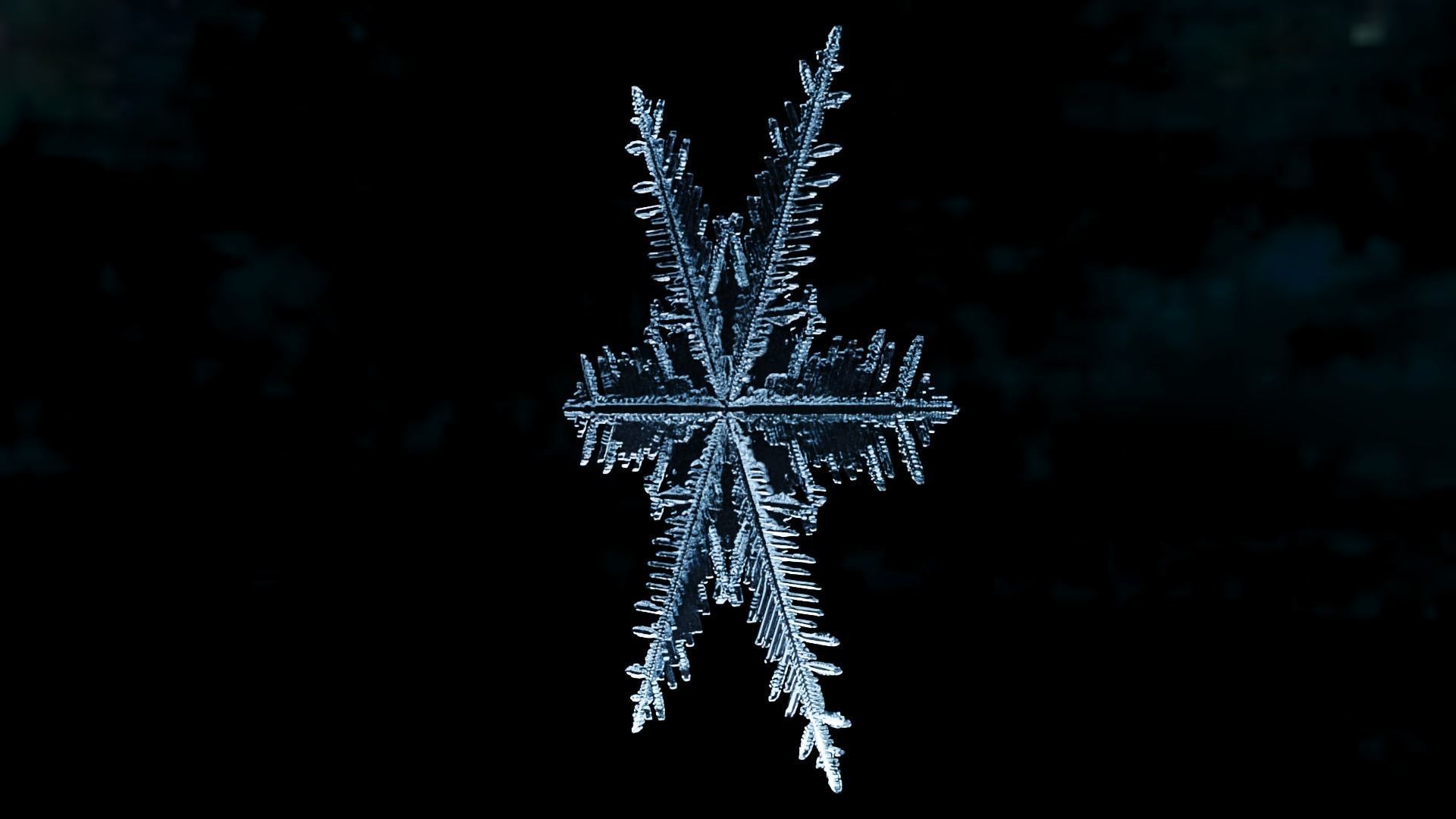 Snowflake 02 growing animation with blender file 3D model animated ...