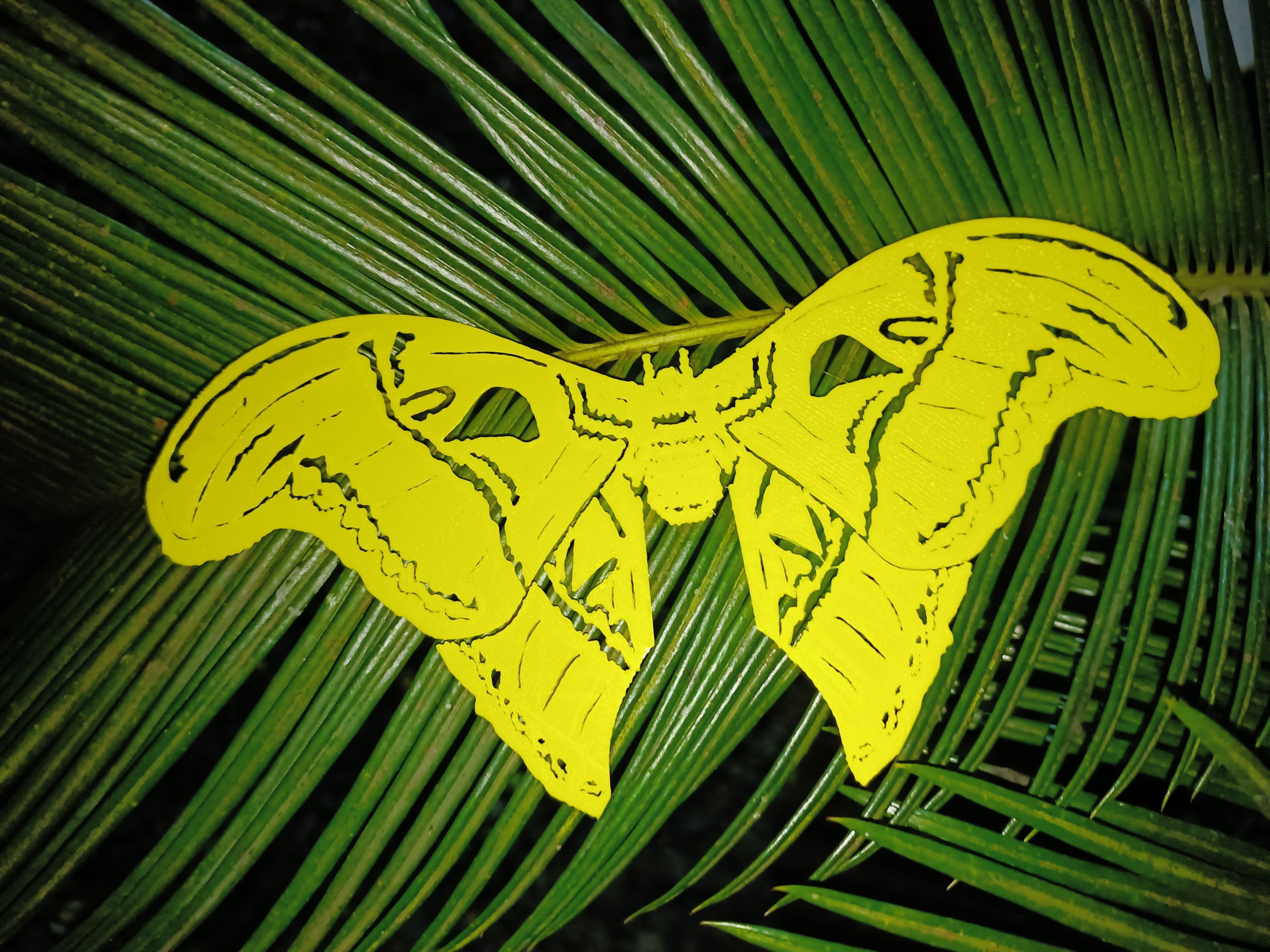 Moth Wall Art by Mels3D 3D model 3D printable | CGTrader