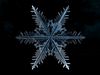 Snowflake PACK growing animation with blender file 3D model animated ...