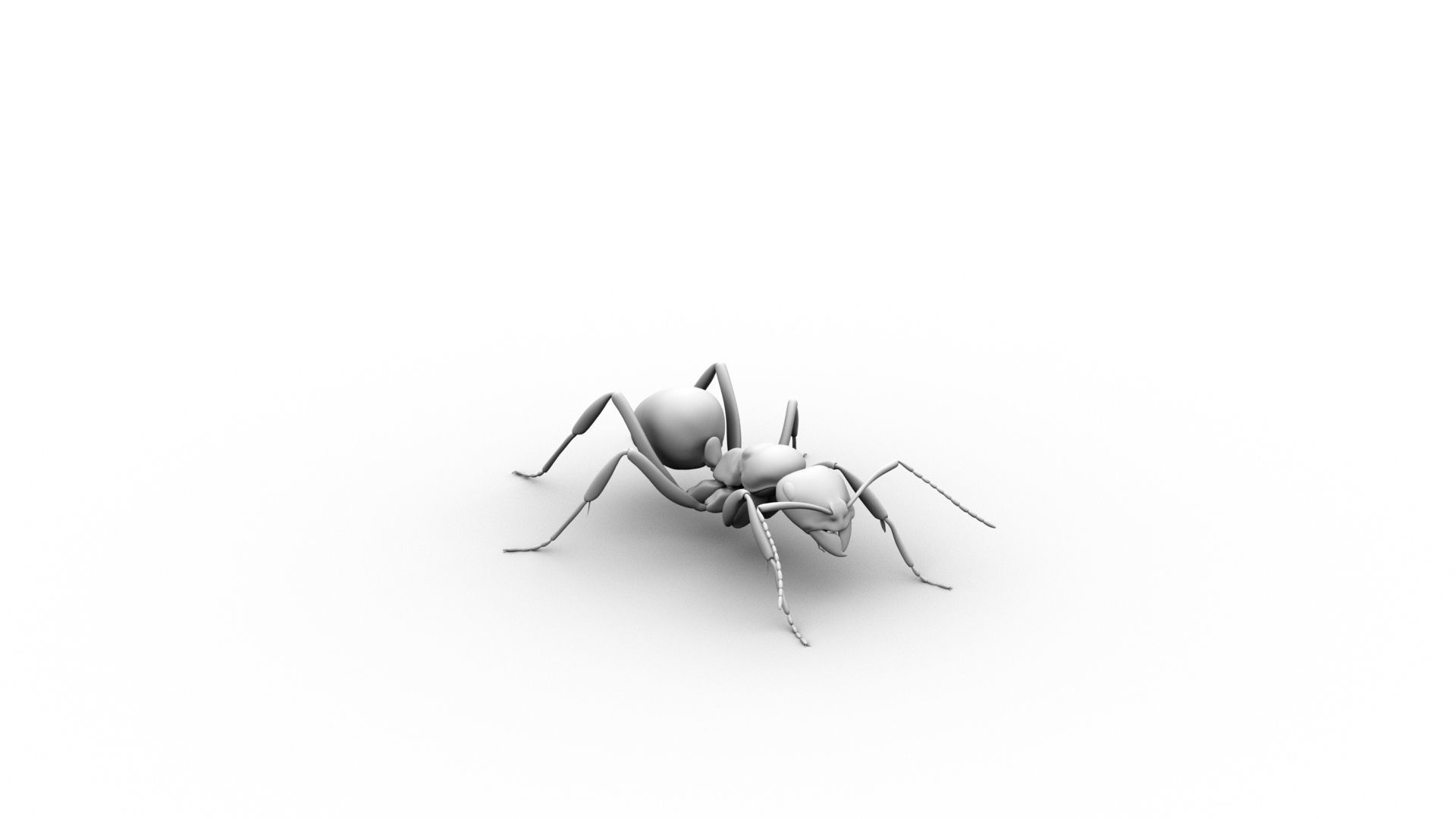 ant rig 3D model rigged | CGTrader