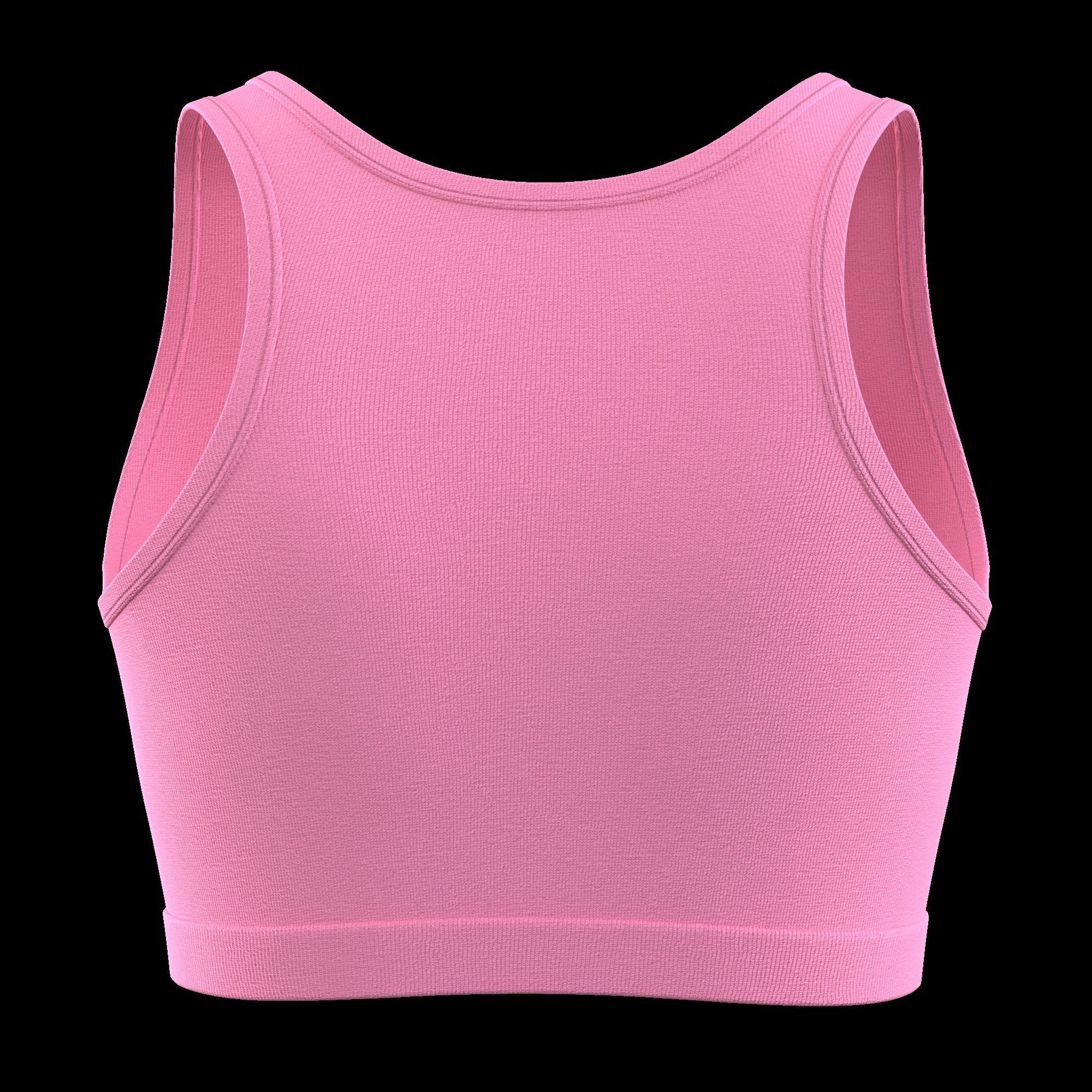 Classic Sporty Premium Bra Design 3D model | CGTrader