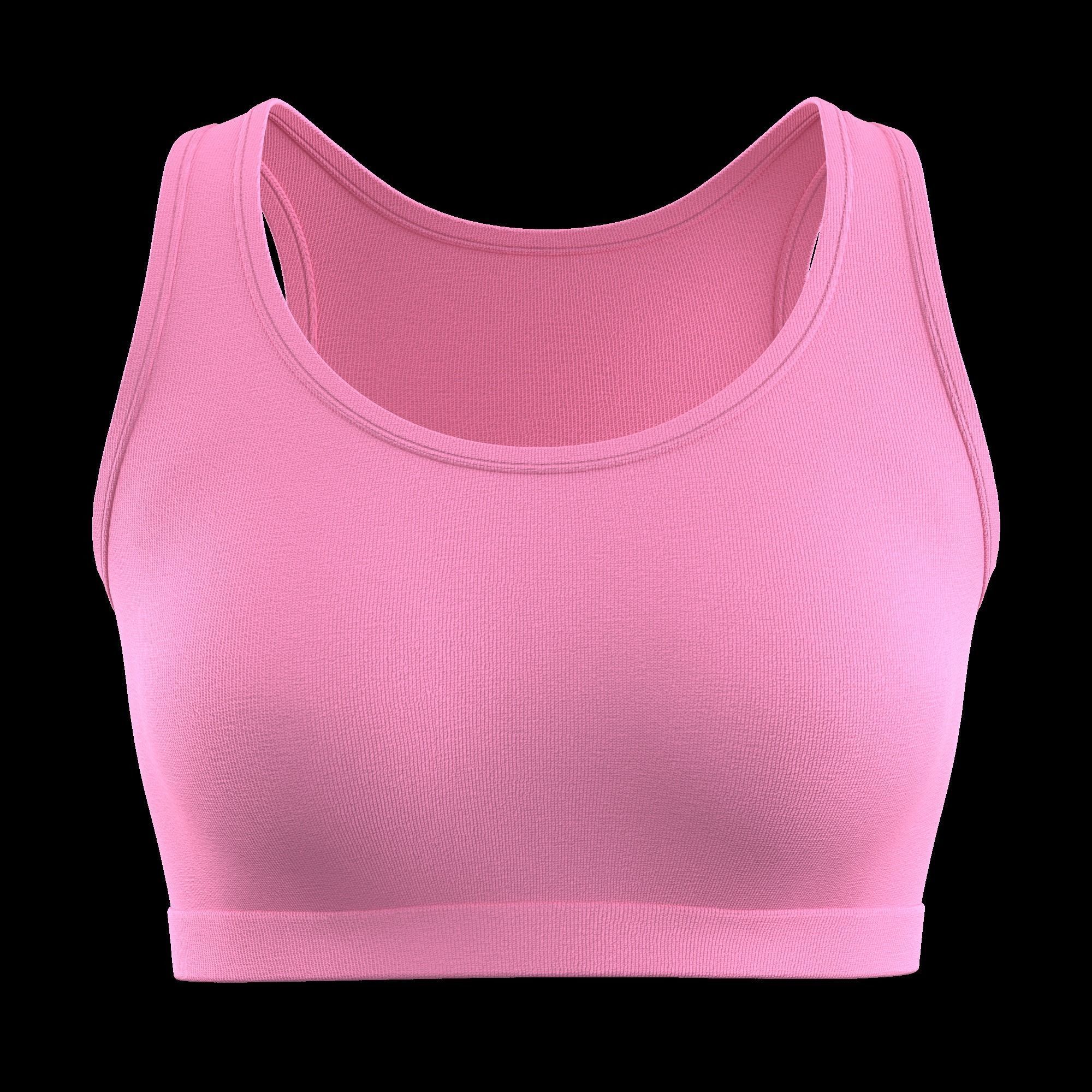 Classic Sporty Premium Bra Design 3D model | CGTrader