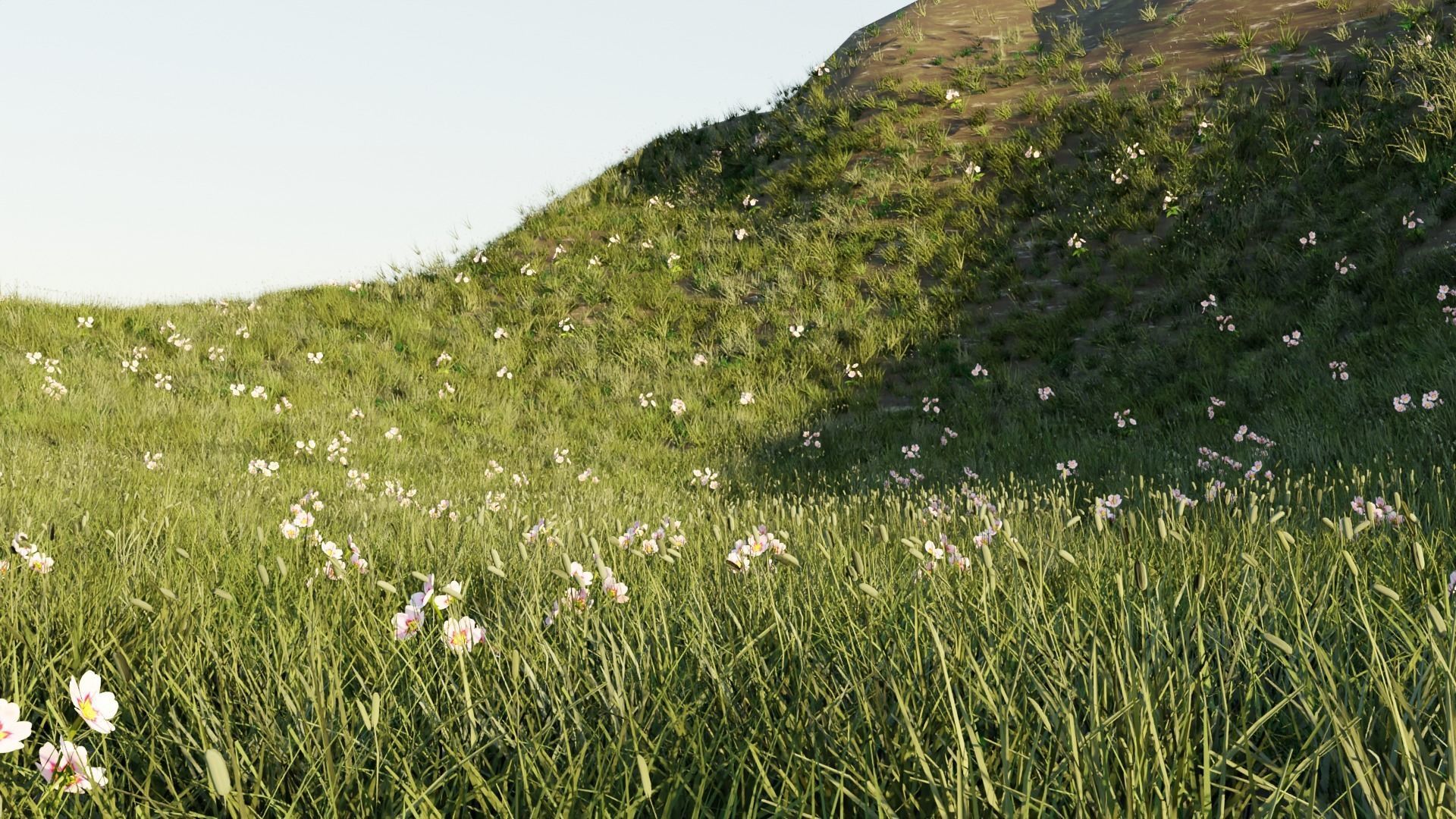 Grass field free VR / AR / low-poly 3D model rigged | CGTrader