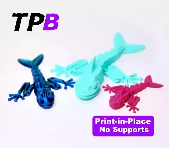 Bro Frog - Print-in-Place free 3D model 3D printable | CGTrader