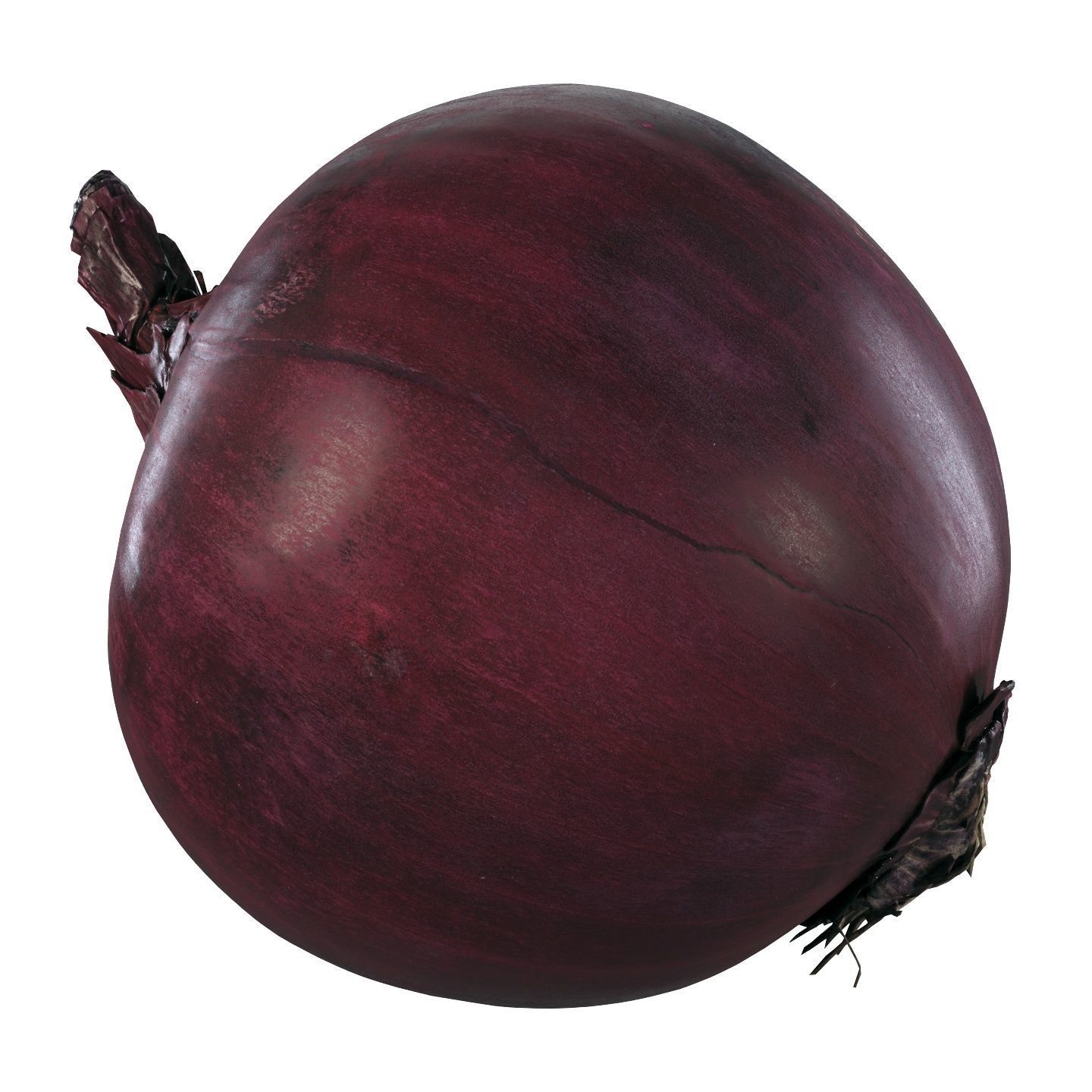4K Red onion 3D model | CGTrader