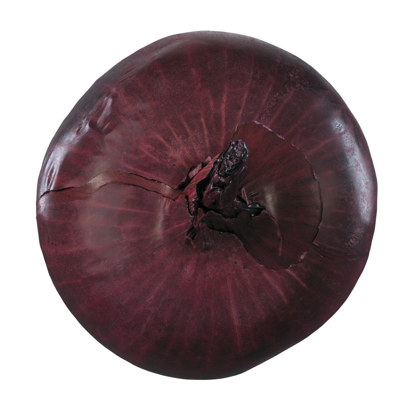 4K Red onion 3D model | CGTrader