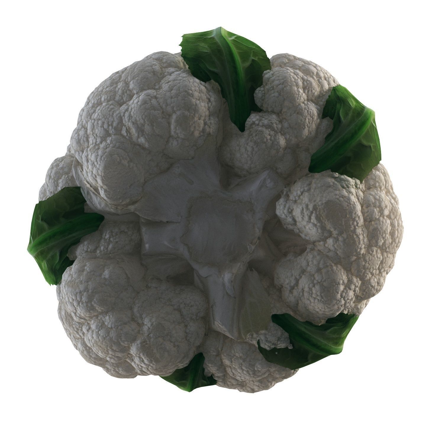 4k Cauliflower 3D model | CGTrader