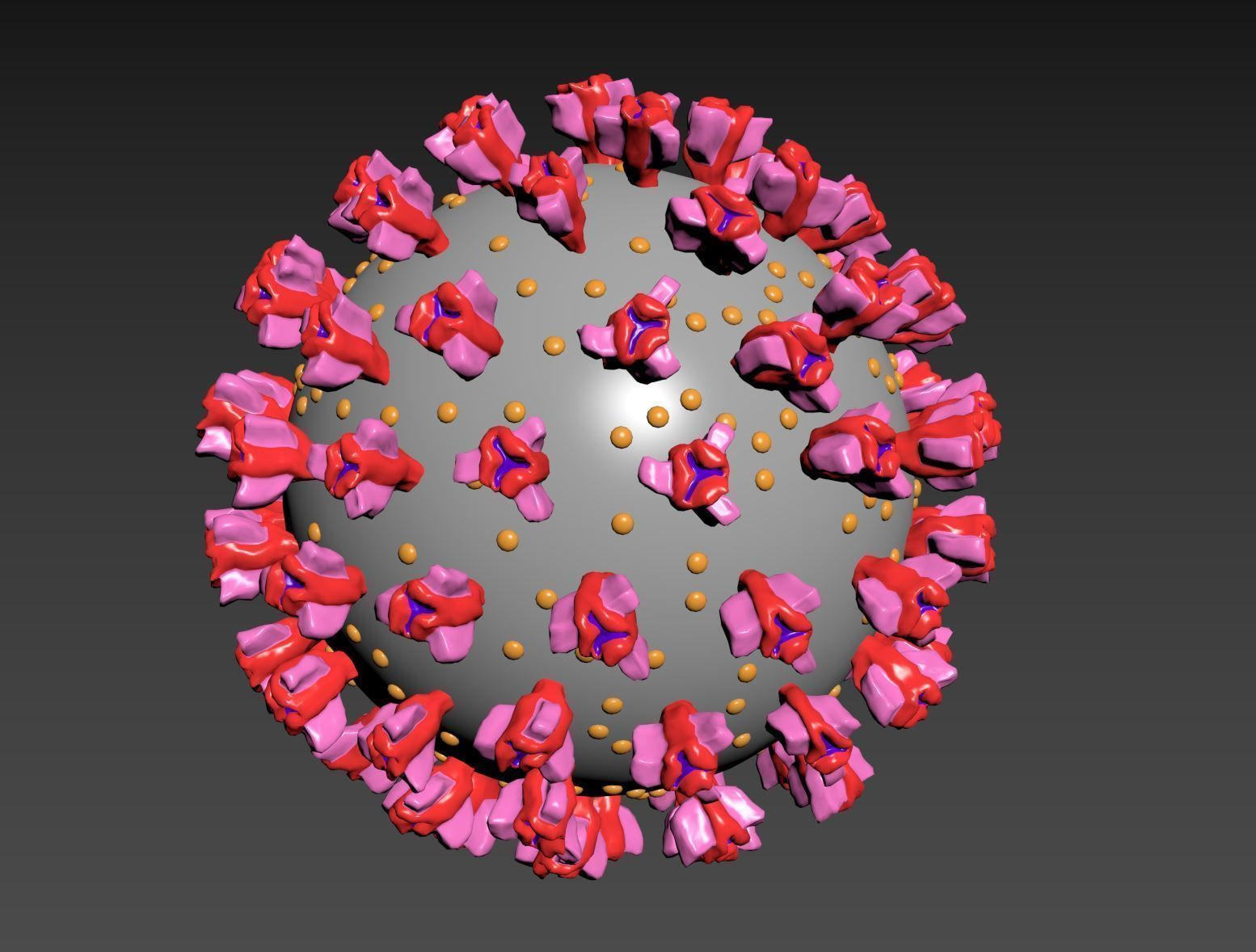 Corona Virus free 3D model | CGTrader