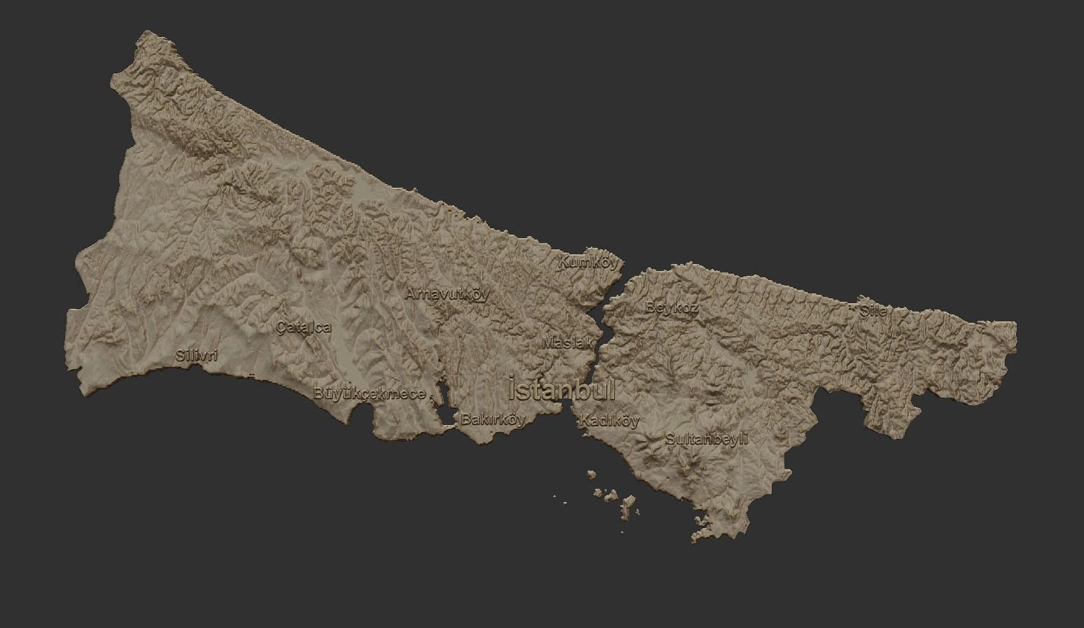 Istanbul City 3d map 3D model 3D printable | CGTrader