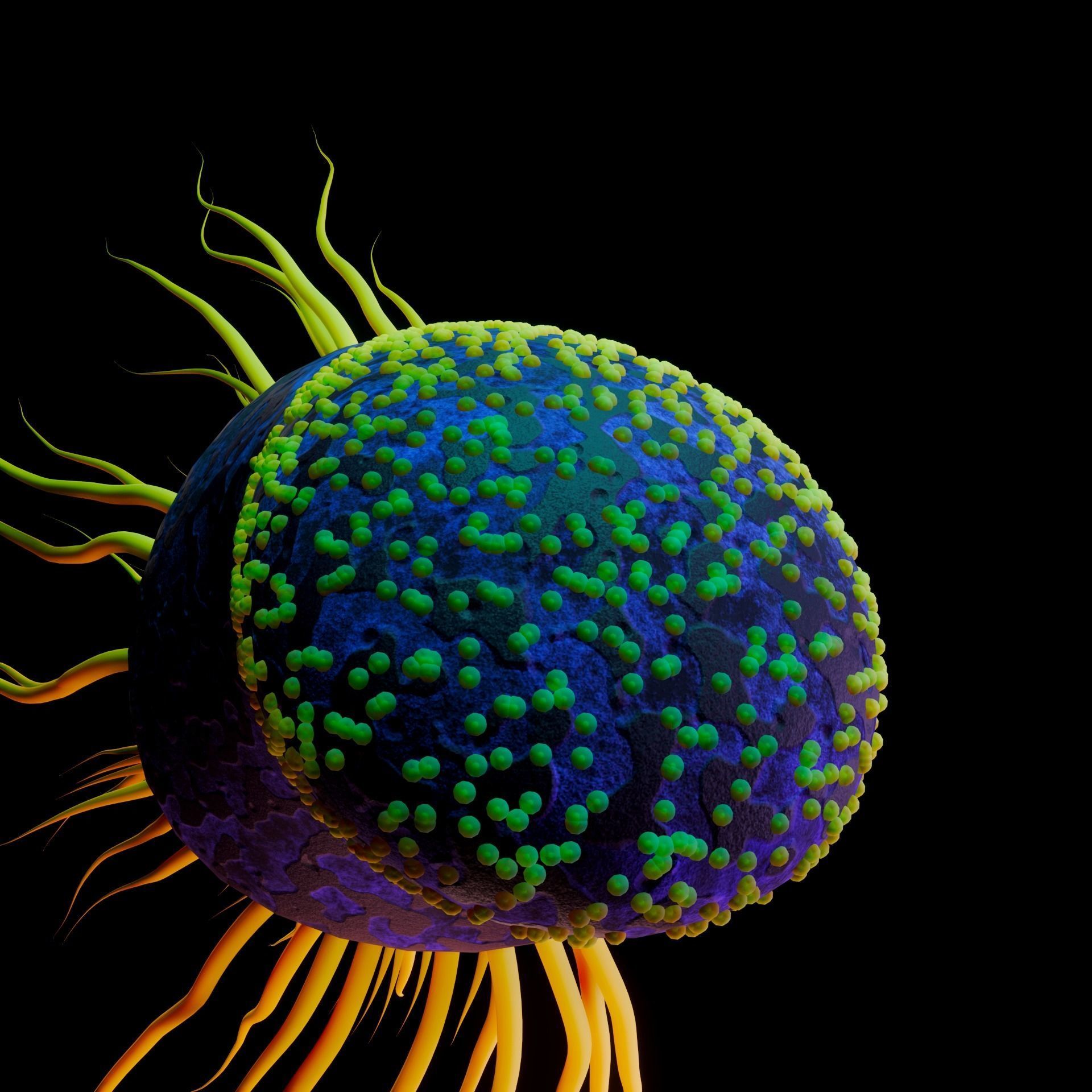 Bacteria 3D Model jellyfish 3D model | CGTrader