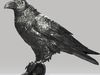 Raven 3D model 3D printable | CGTrader